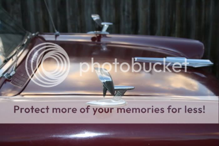 Pictures of stock (external) mirrors? - fbekholden.com