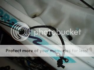 scupper pro afficionados... *NEW PICS ADDED* - TexasKayakFisherman.com