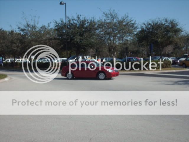 CARYN & MARK's Trip Report****6/8 added more pics, dried bouquet and ...