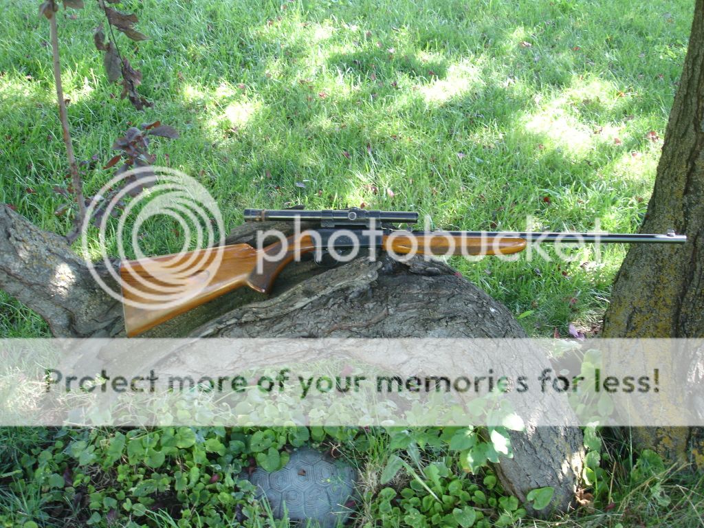 Advice on Belgium bulged barrel | Rimfire Central Firearm Forum