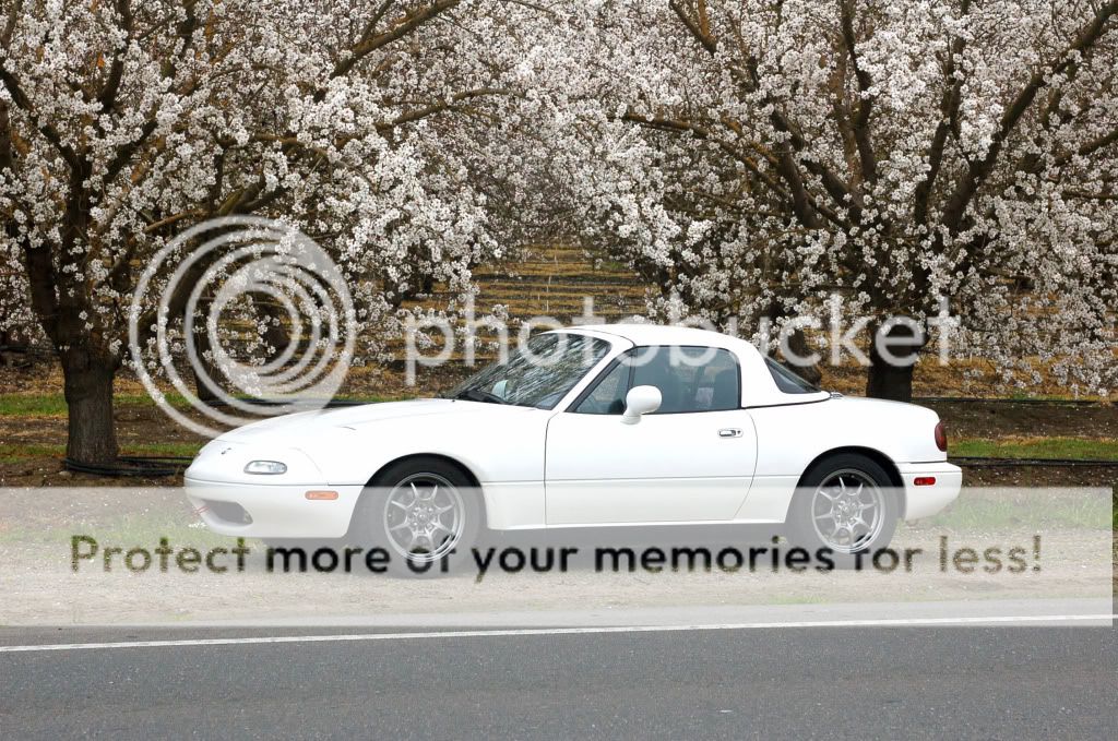 [NA] Lord, I Was Born a Camberin’ Man? - MX-5 Miata Forum