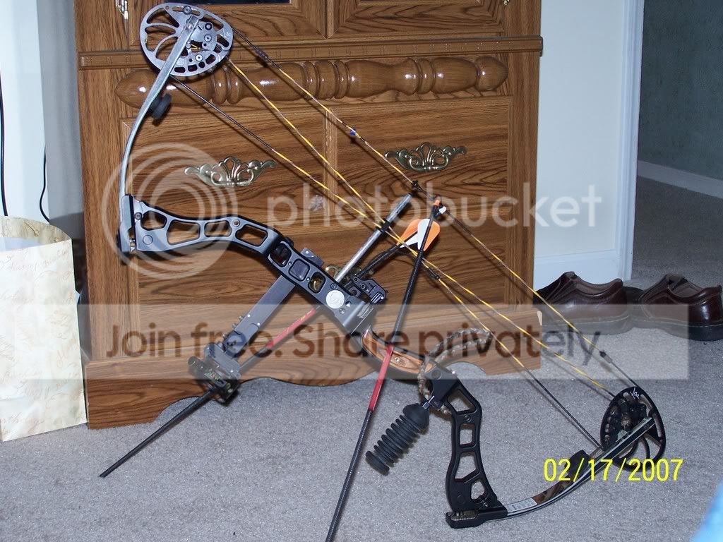 2007 Elite Synergy | Page 2 | Archery Talk Forum